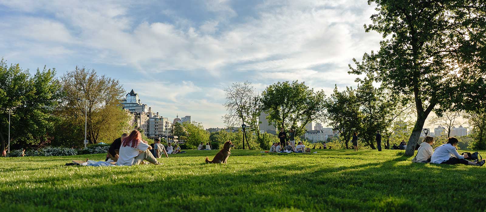 5 Best Pet Insurance for Lhasa Apso Dogs (2026 Reviews)