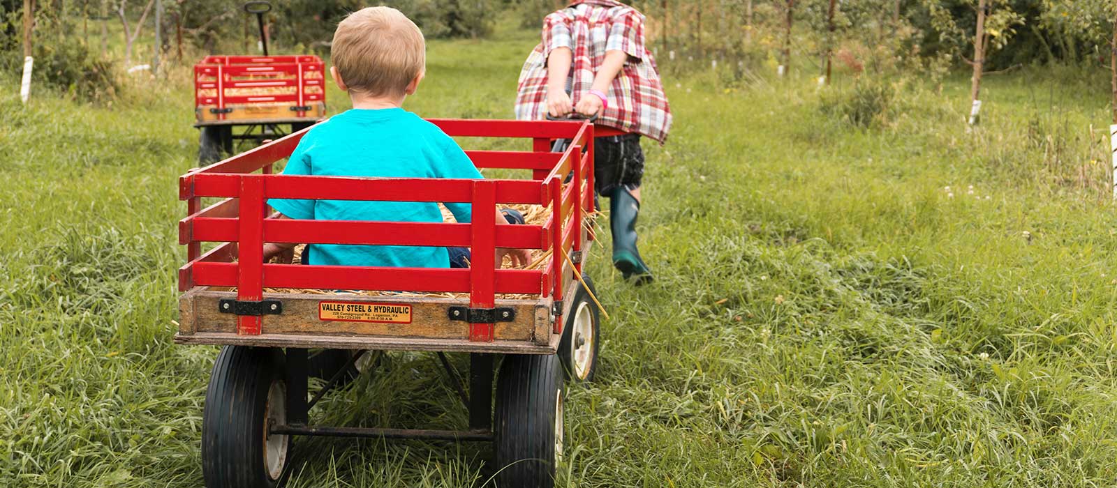 7 Best Wagons for Kids (2023 Reviews)